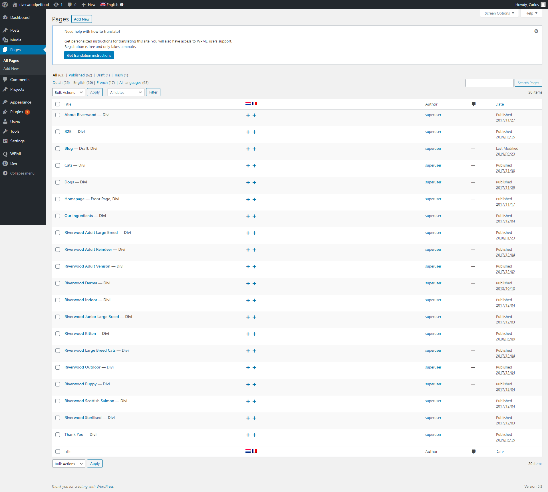 Language switcher options wpml - hawkvirt