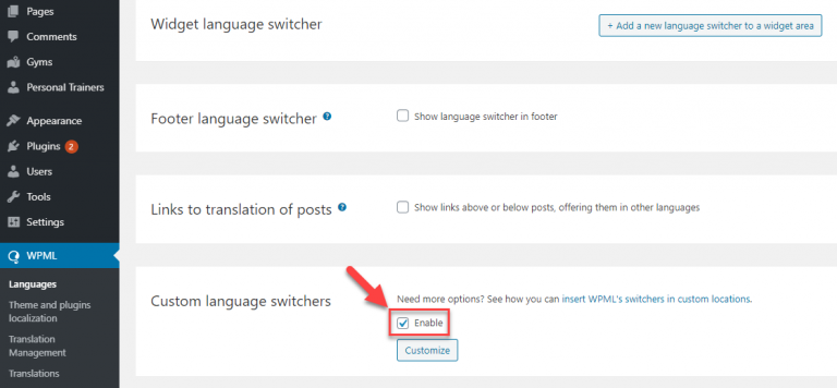 Language Switcher Options - WPML