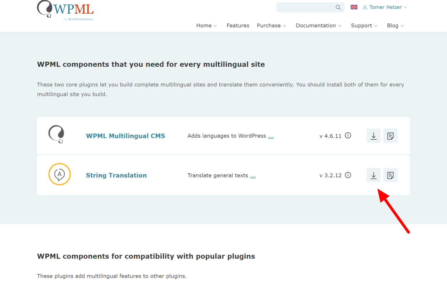 How can I add String Translation to my site? - WPML