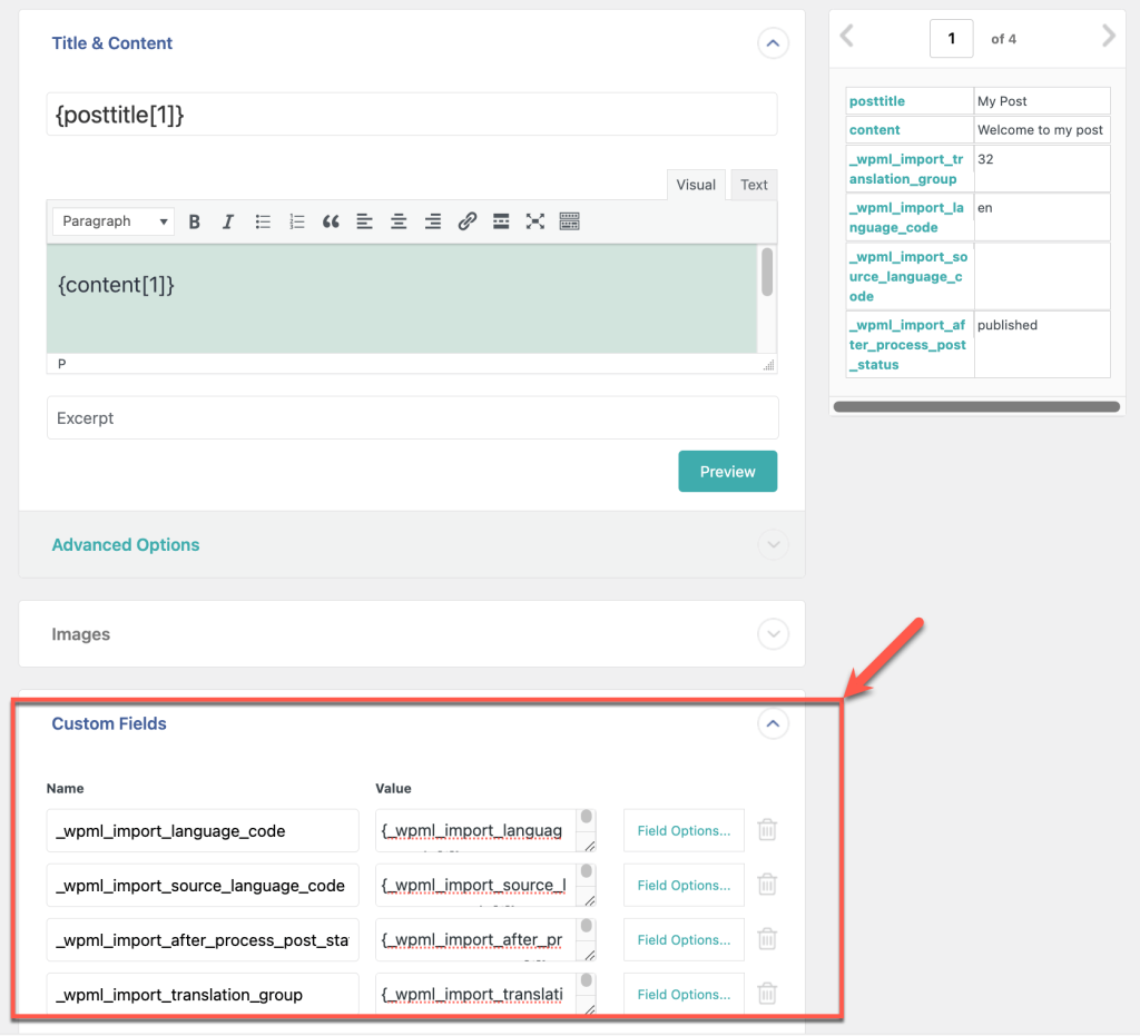 WPML Export and Import - WPML