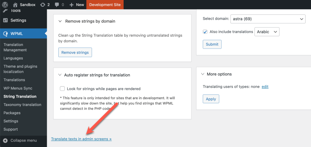 Finding strings that don’t appear on the String Translation page - WPML