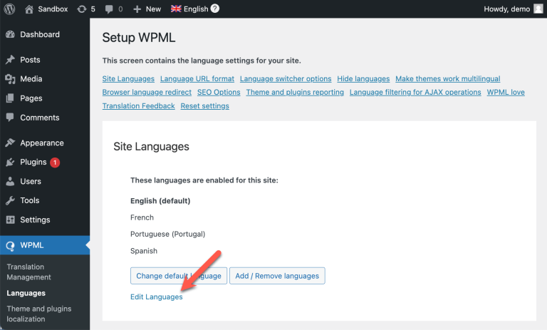 Using Custom Flags for Languages Spoken Across Different Countries - WPML