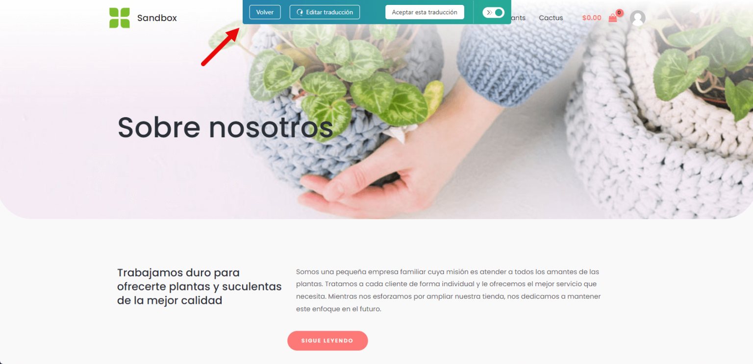 AI Automatic Translation for WordPress with WPML