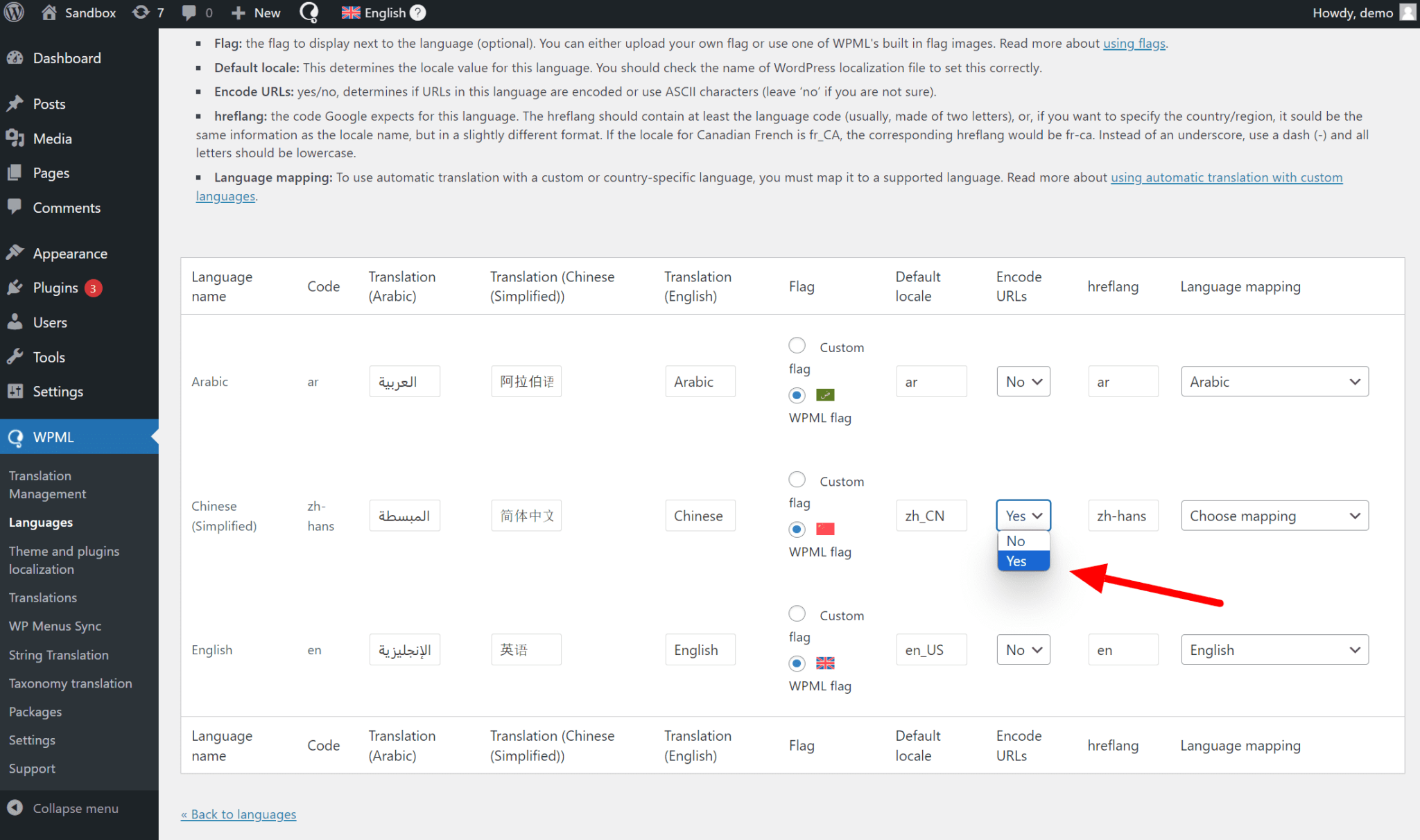 How to Translate URL Slugs with WPML