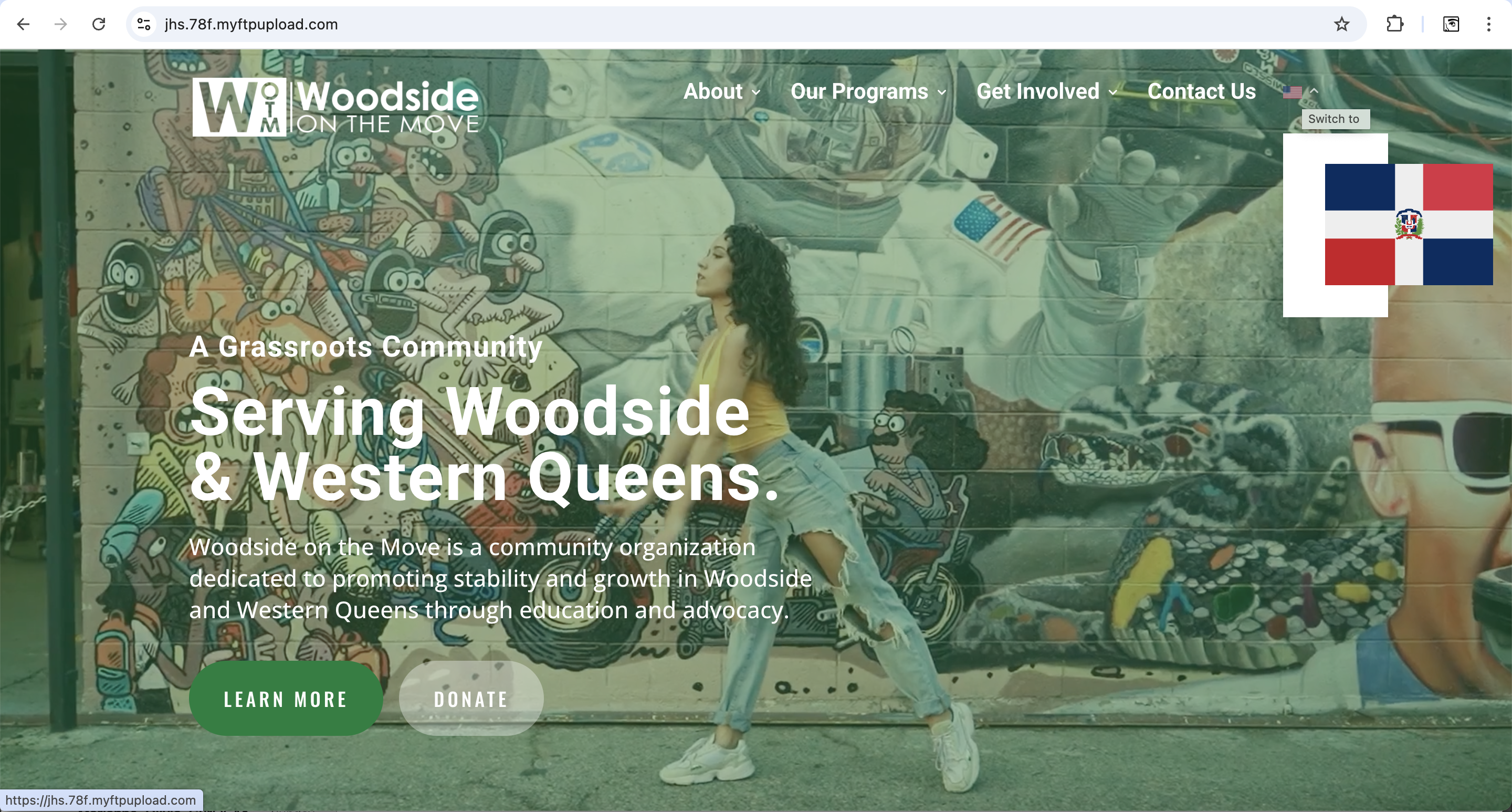 The .svg custom flag I uploaded appears way too large. - WPML